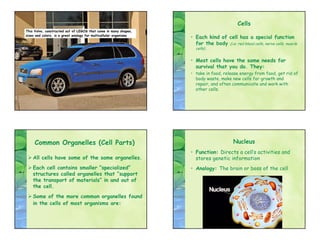 5th grade science_-_cells_the_transport_of_materials_u2_l1_ | PDF ...