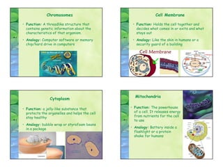 5th grade science_-_cells_the_transport_of_materials_u2_l1_ | PDF ...