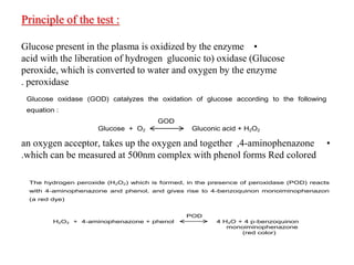 5th Lab. glucose.ppt.................... | PPT