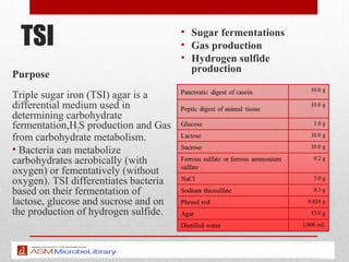 5th lab 1st part biochemical tests (1) | PPT