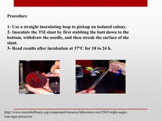 5th lab 1st part biochemical tests (1) | PPT