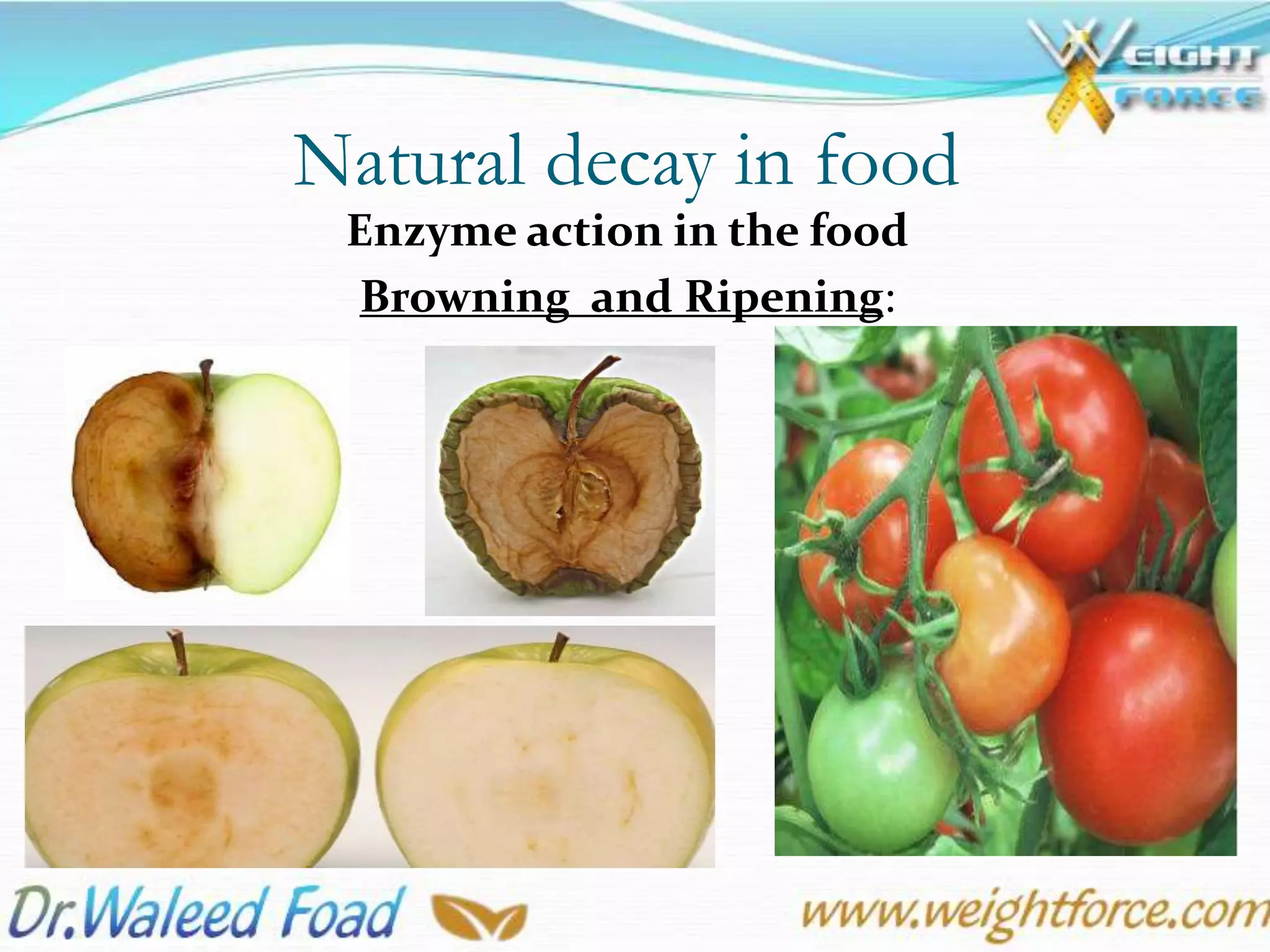 5th lecture Food Spoilage Overview | PPTX