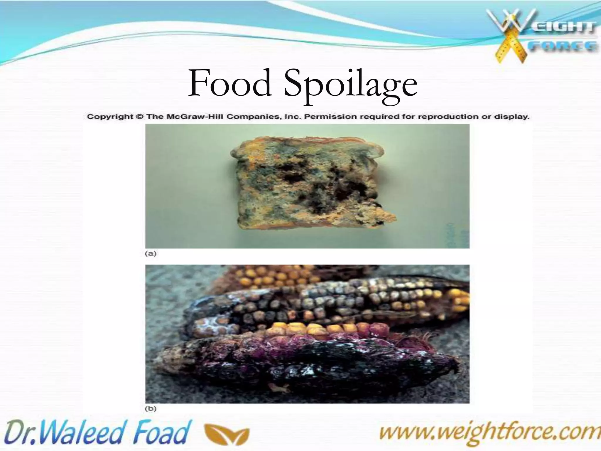5th lecture Food Spoilage Overview | PPTX