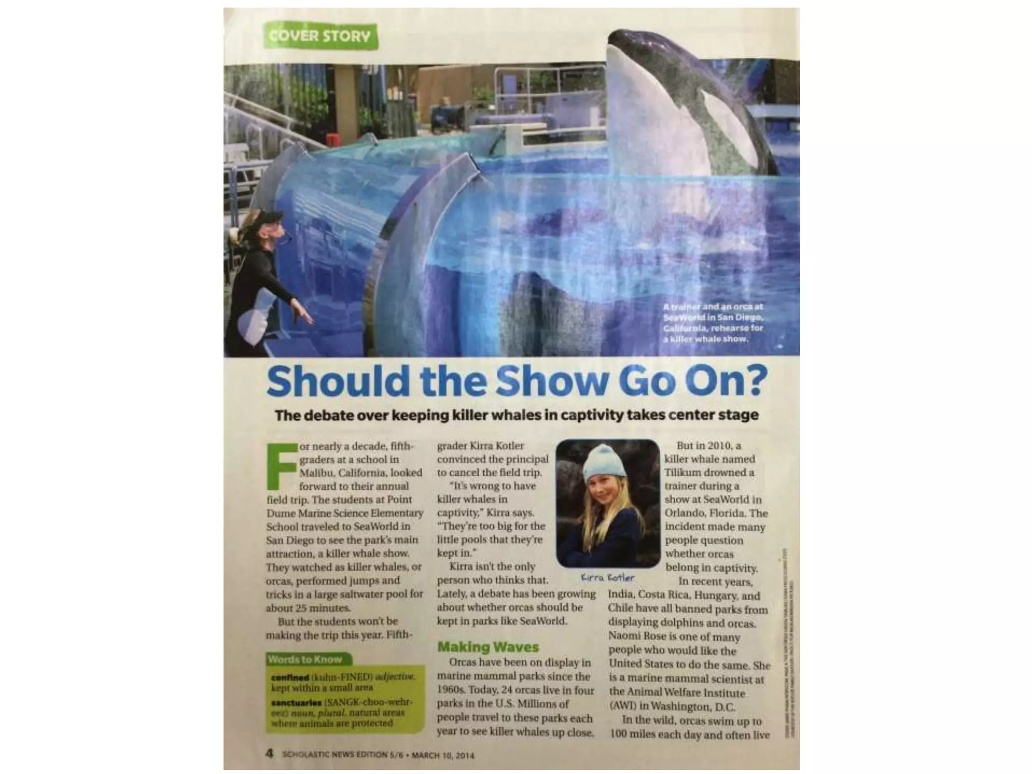 Killer Whale Persuasive Essay | PPTX