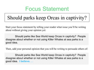 Killer Whale Persuasive Essay | PPTX