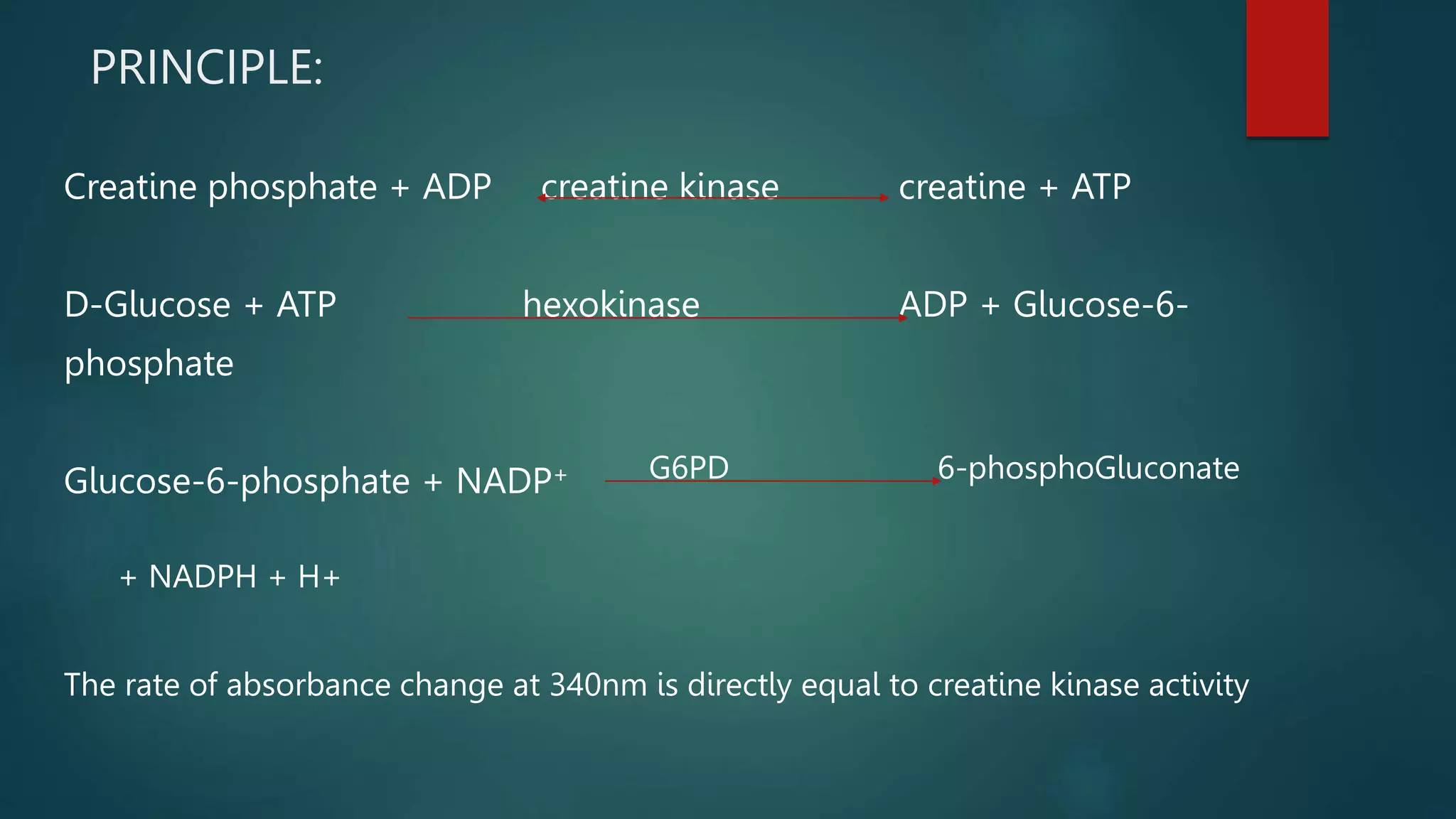 CREATINE PHOSPHOKINASE best slide.pptx