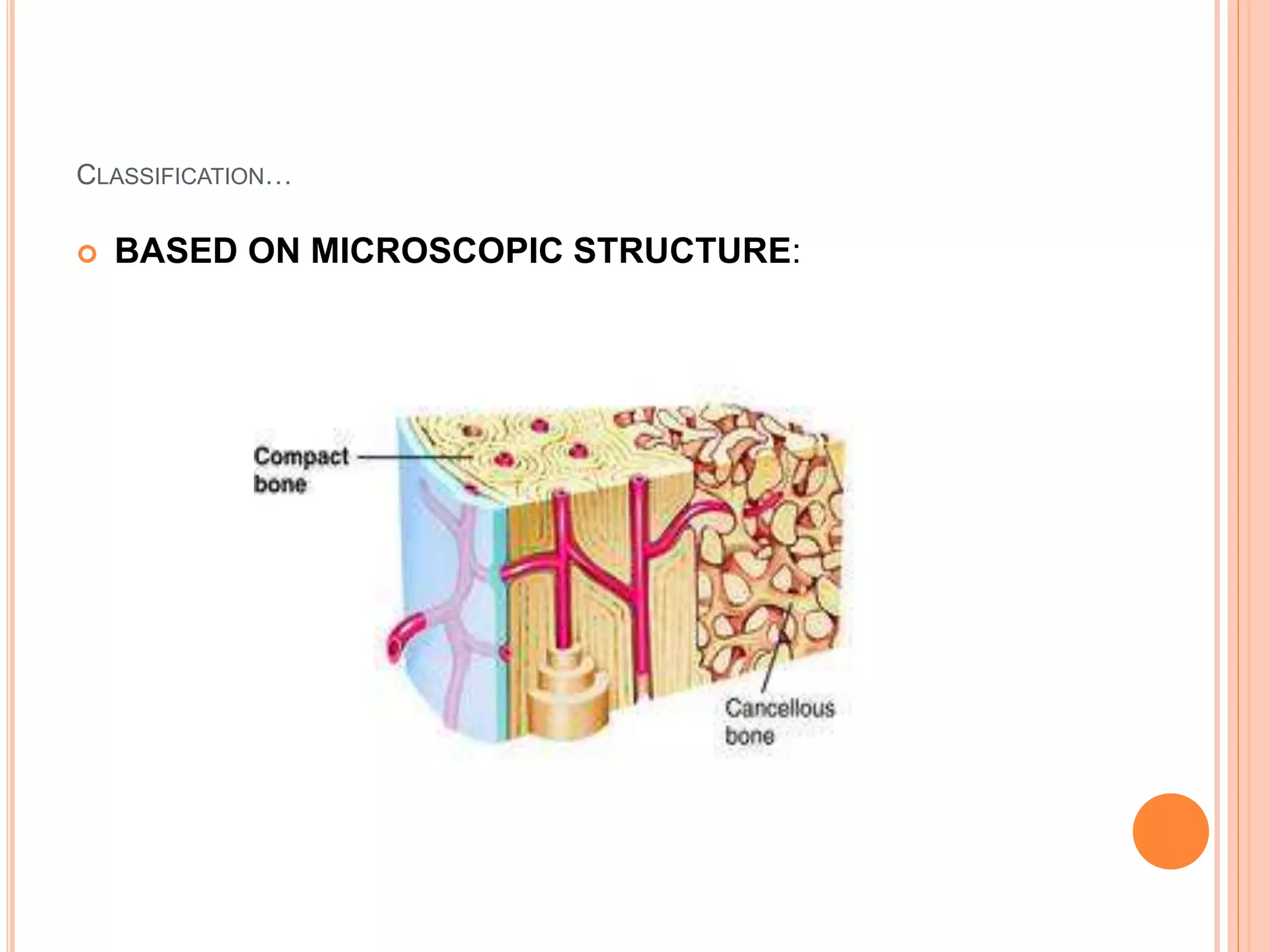 bone formation and resorption | PPTX