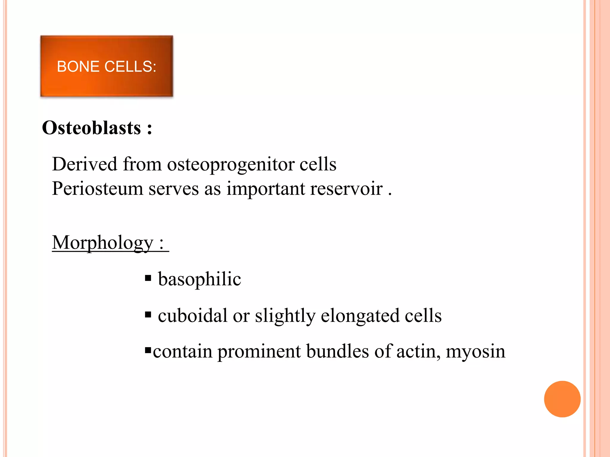 bone formation and resorption | PPTX