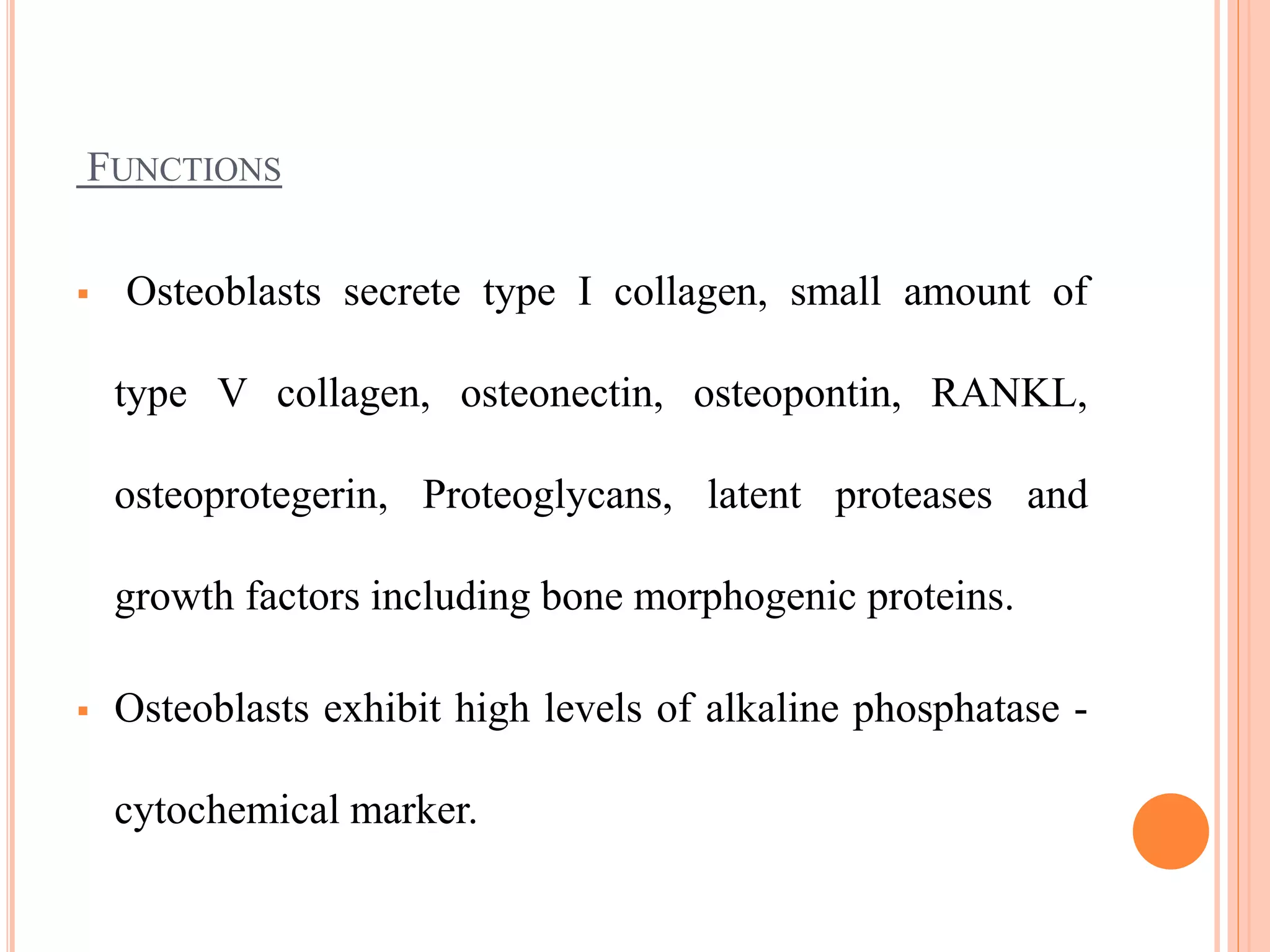 bone formation and resorption | PPTX