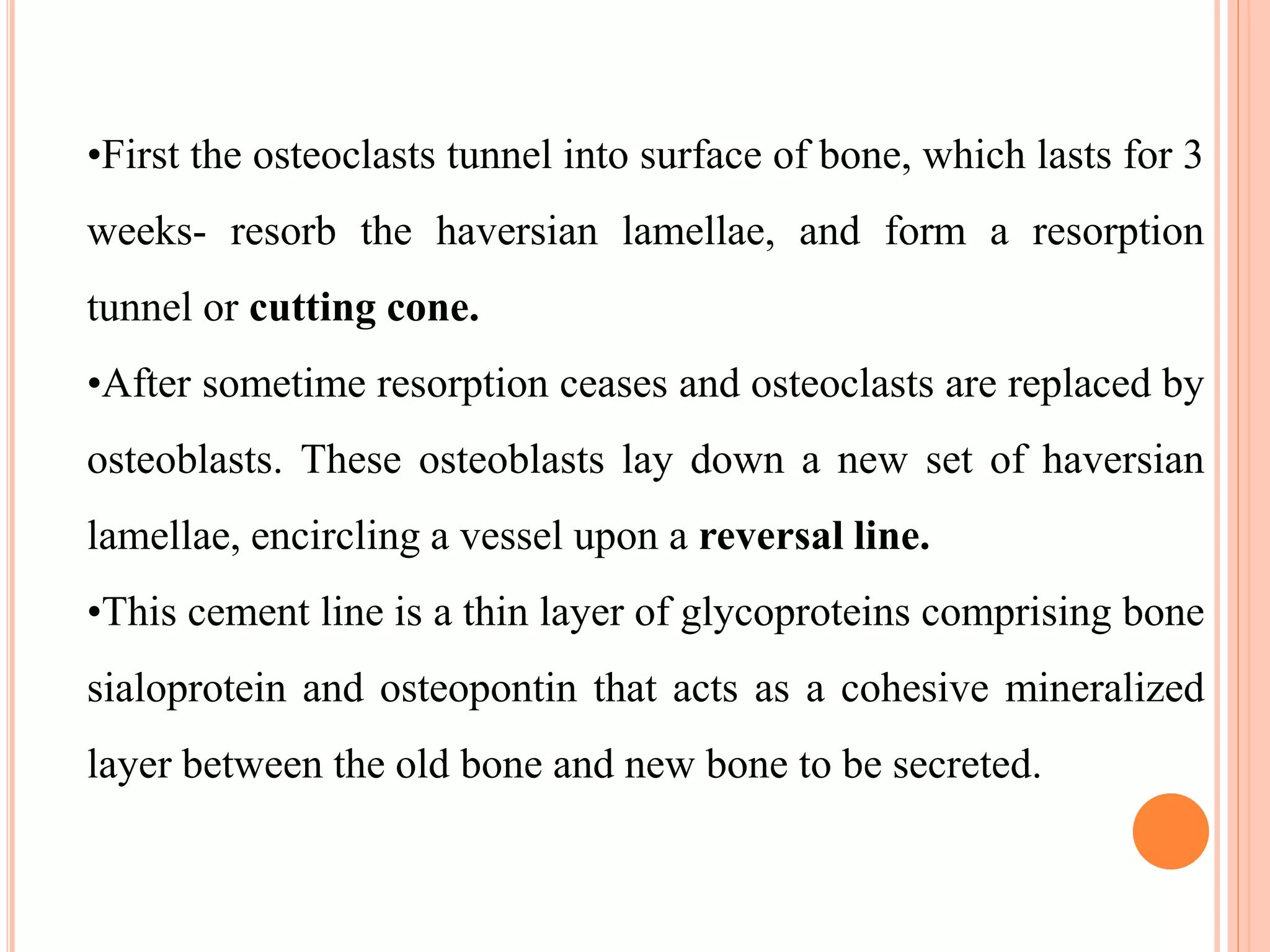 bone formation and resorption | PPTX