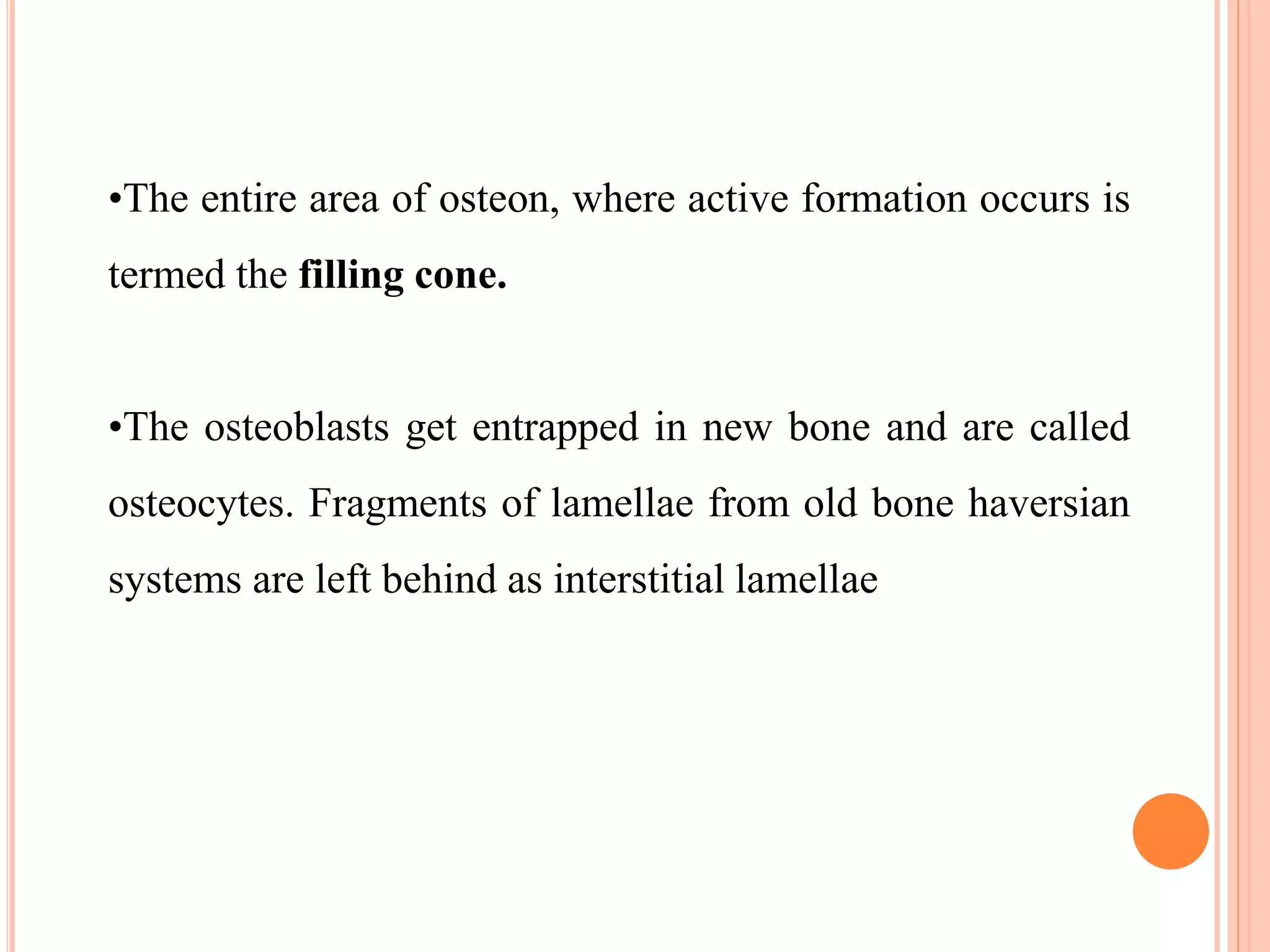 bone formation and resorption | PPTX