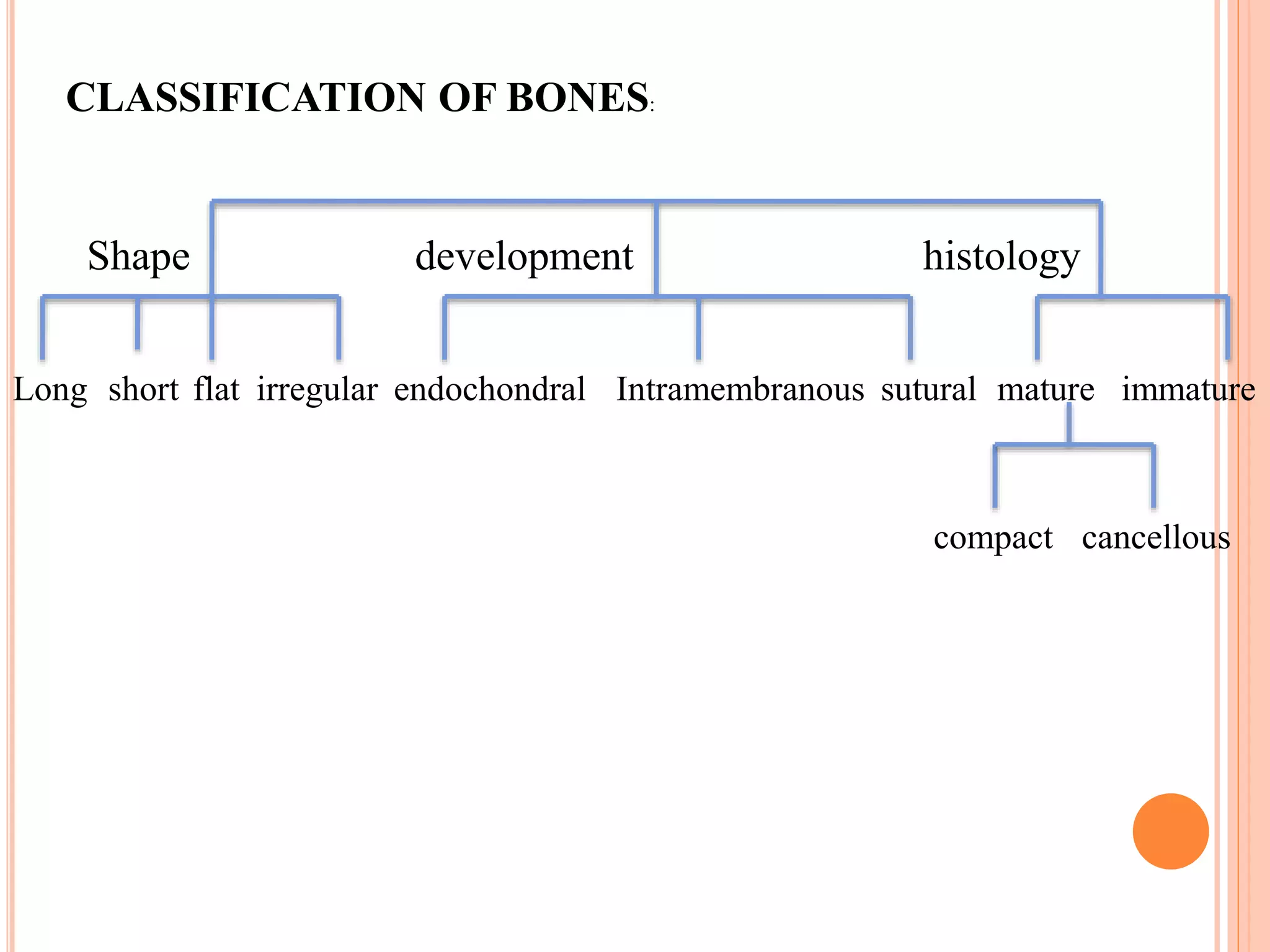 bone formation and resorption | PPTX