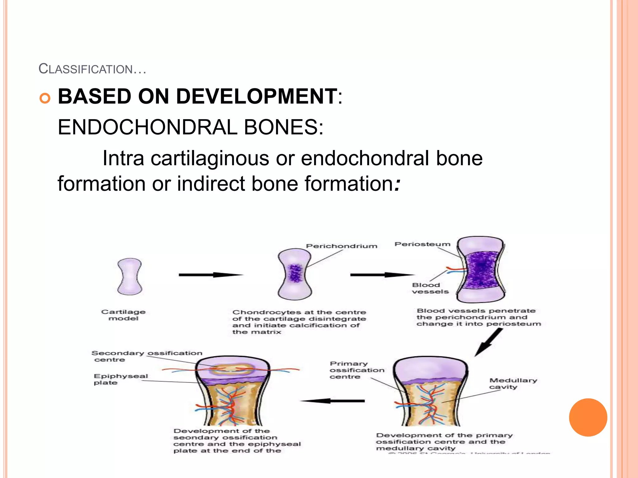 bone formation and resorption | PPTX