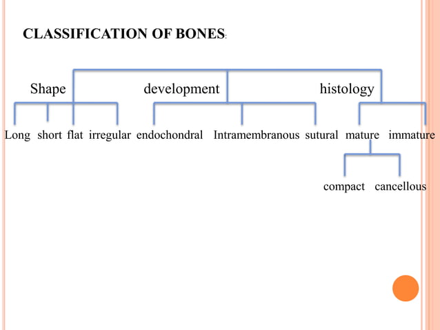 bone formation and resorption | PPTX