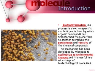 microbial biotransformation and bioremedation | PPT