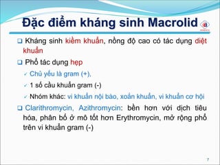 5 thuoc chong nhiem khuan macrolid | PDF