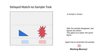Task Details of the 5th Whole Brain Architecture Hackathon | PPT