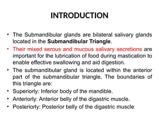 5th Year Lecture on submandibular gland by SU-2 BBH.pptx