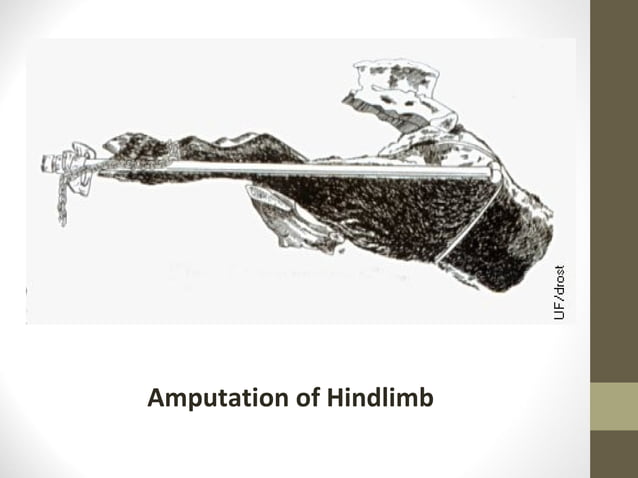 5th year practical revision 7 - fetotomy | PPT