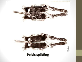 5th year practical revision 7 - fetotomy | PPT