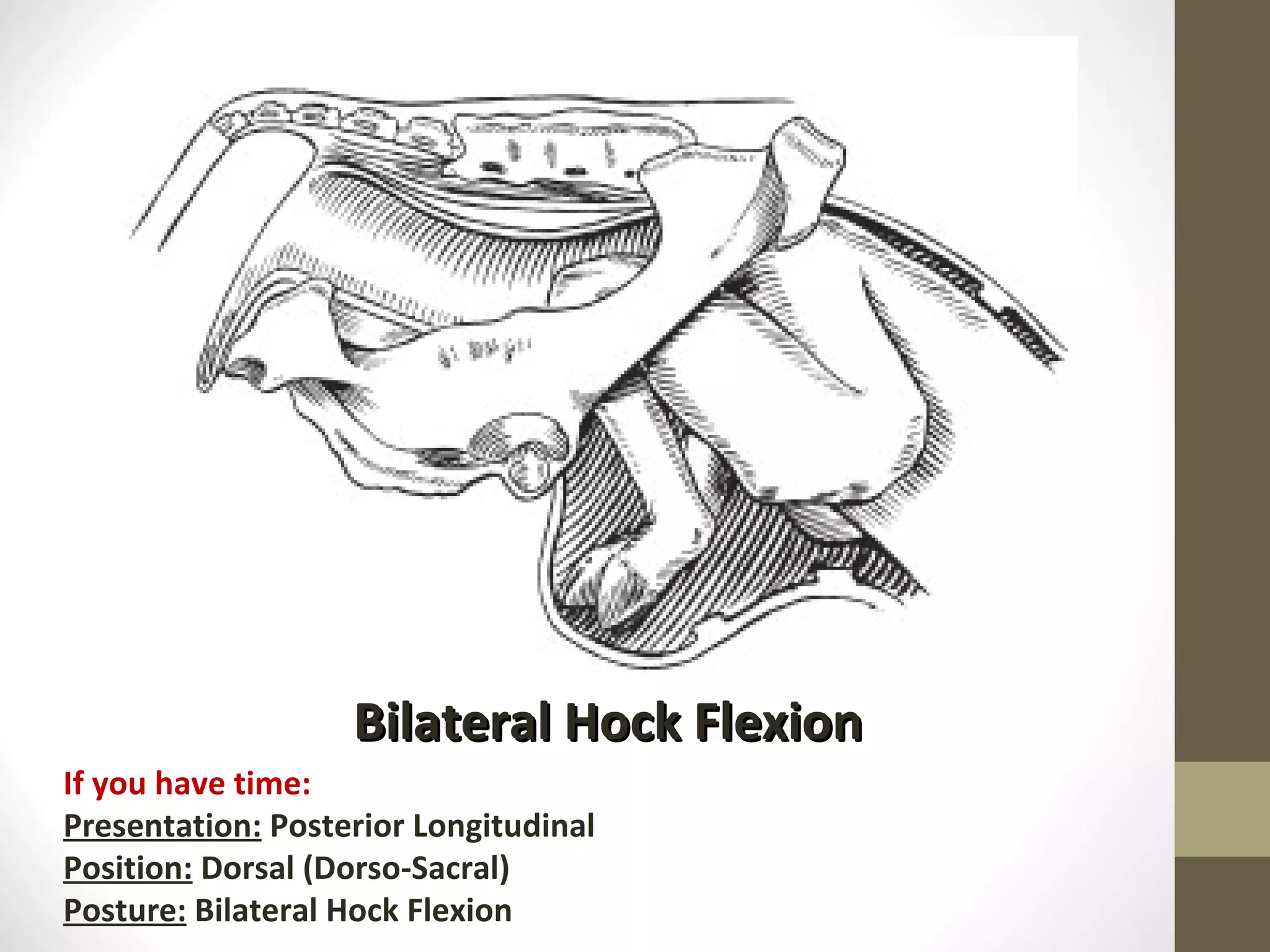 5th year practical revision fetal presentations | PPT