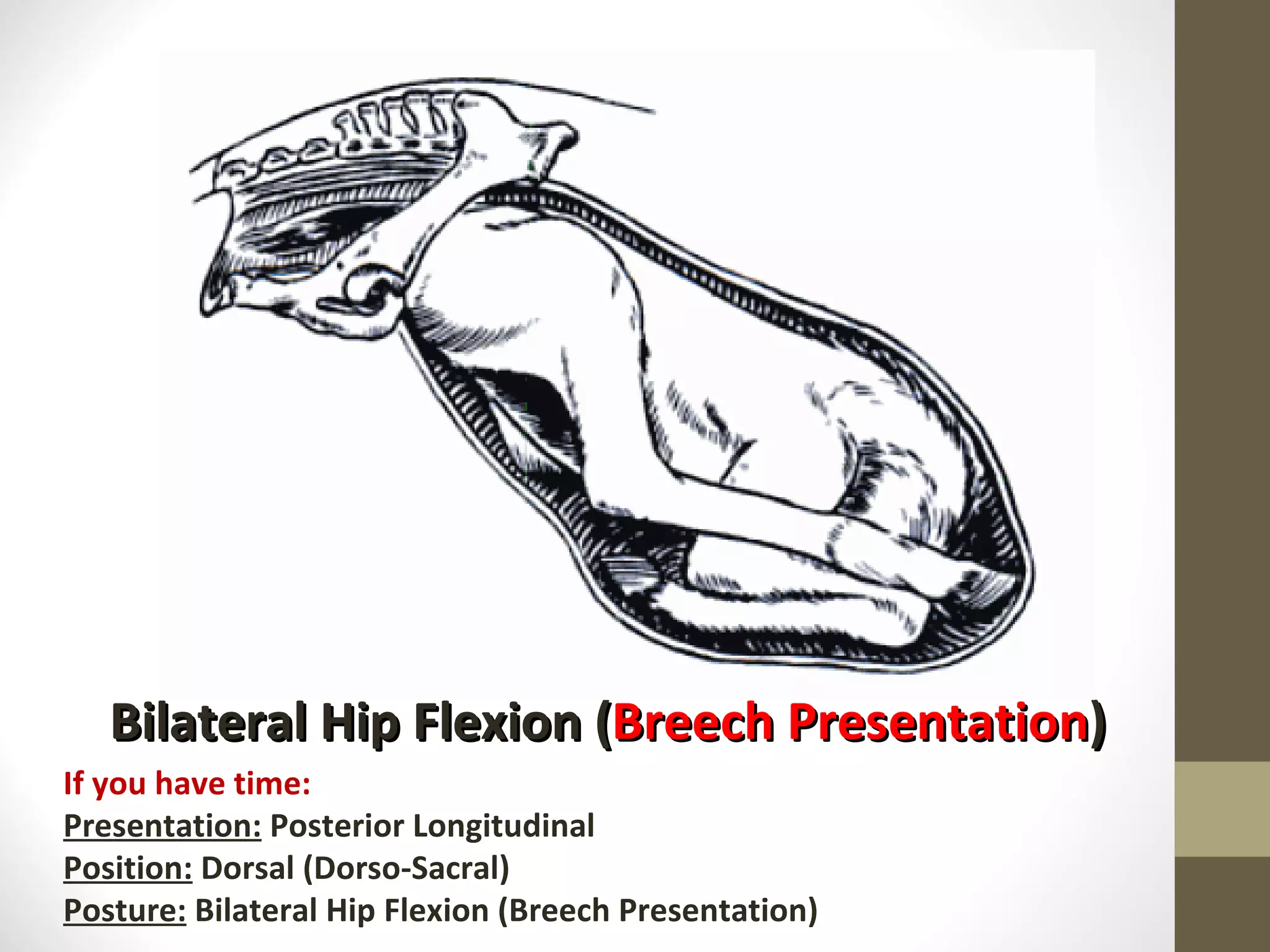 5th year practical revision fetal presentations | PPT