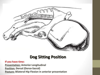 5th year practical revision fetal presentations | PPT