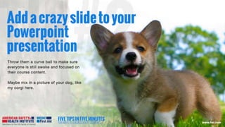 5 tips5minutes | PPT