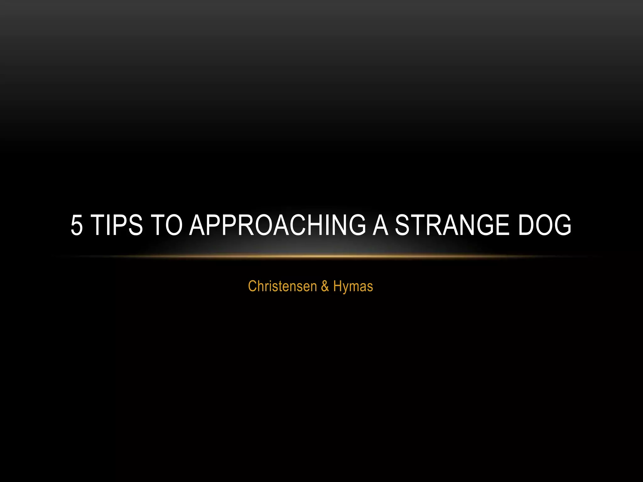 5 Tips to Approaching a Strange Dog | PPTX