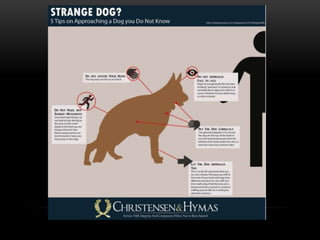 5 Tips to Approaching a Strange Dog | PPTX