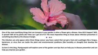 5 Tips to Improve your Garden | PPTX