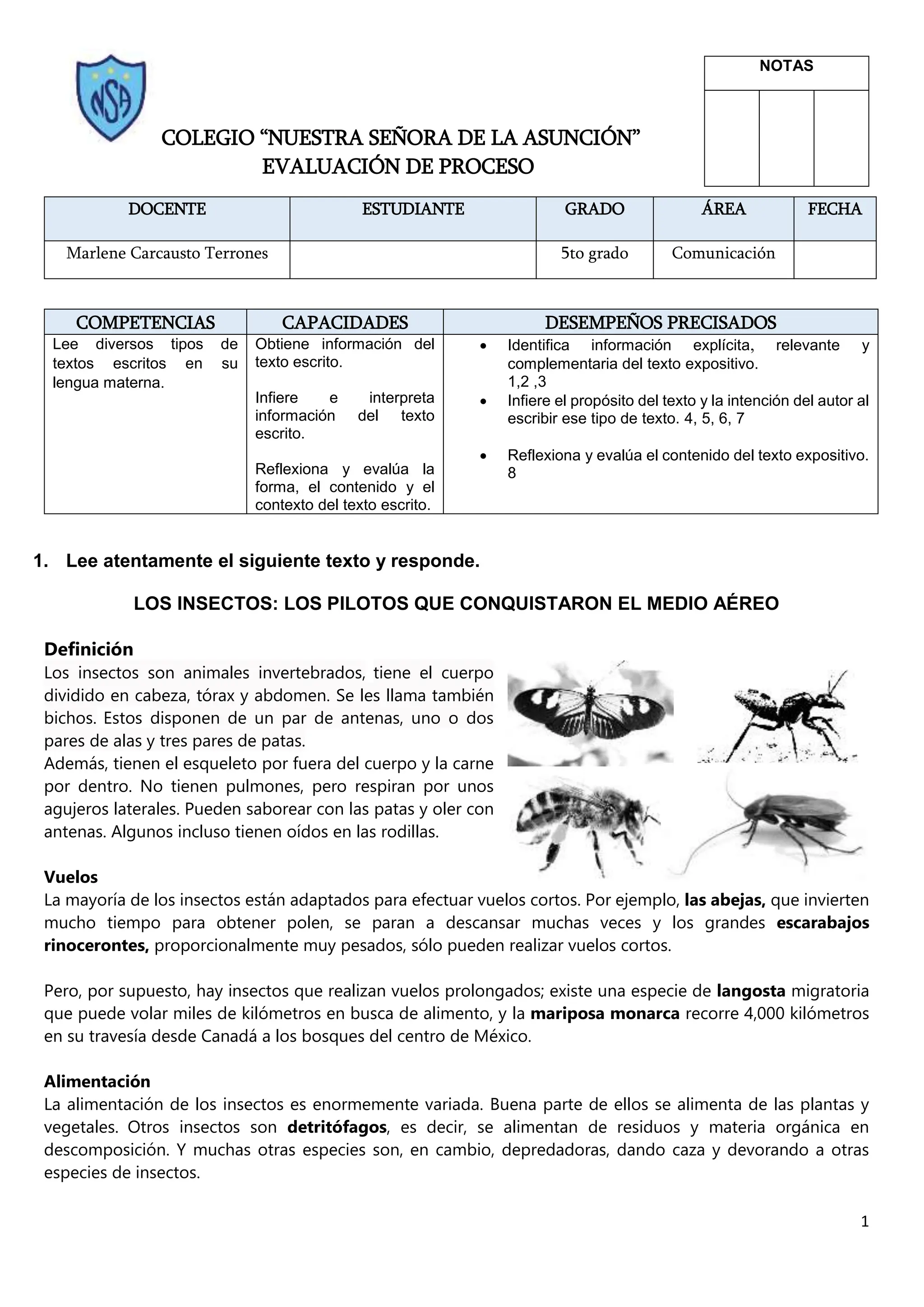 5to grado- txt expositivo-los insectos.docx