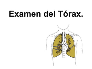 5 torax y mama.ppt