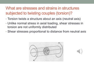 5 torsion | PPTX