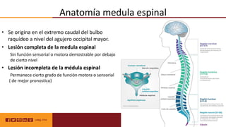 Traumatismo raquimedular, UAG TABASCO DRA SHECCID | PDF