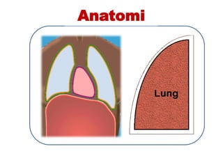 5 Trauma Thorak | PDF