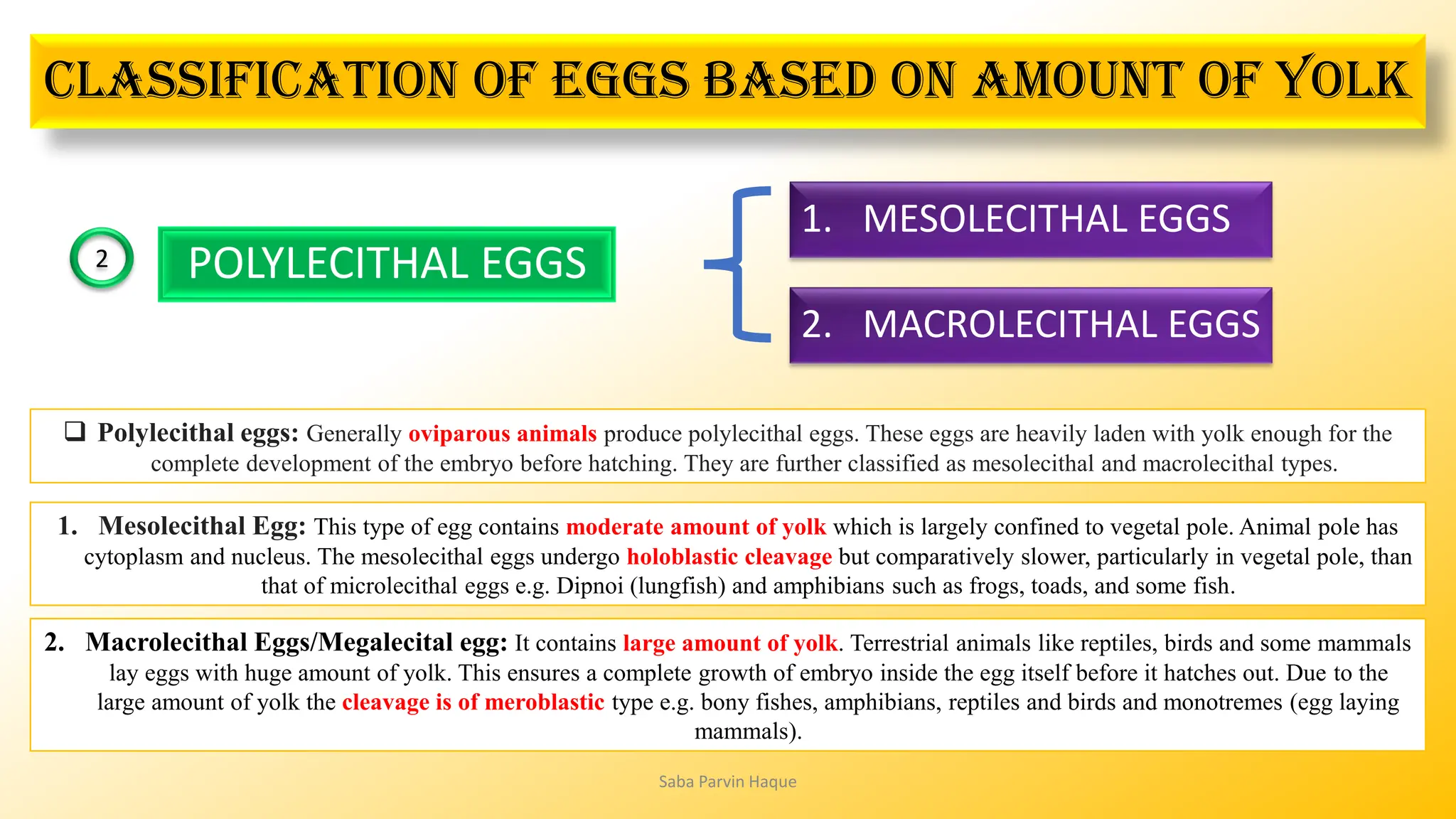 Types of Egg – Based on amount and distribution of yolk | PDF