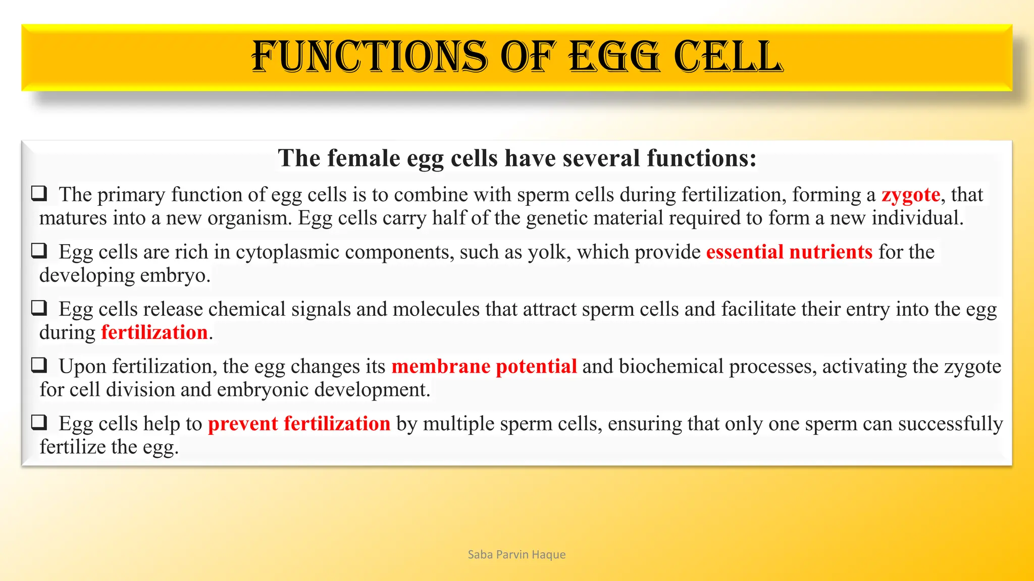 Types of Egg – Based on amount and distribution of yolk | PDF