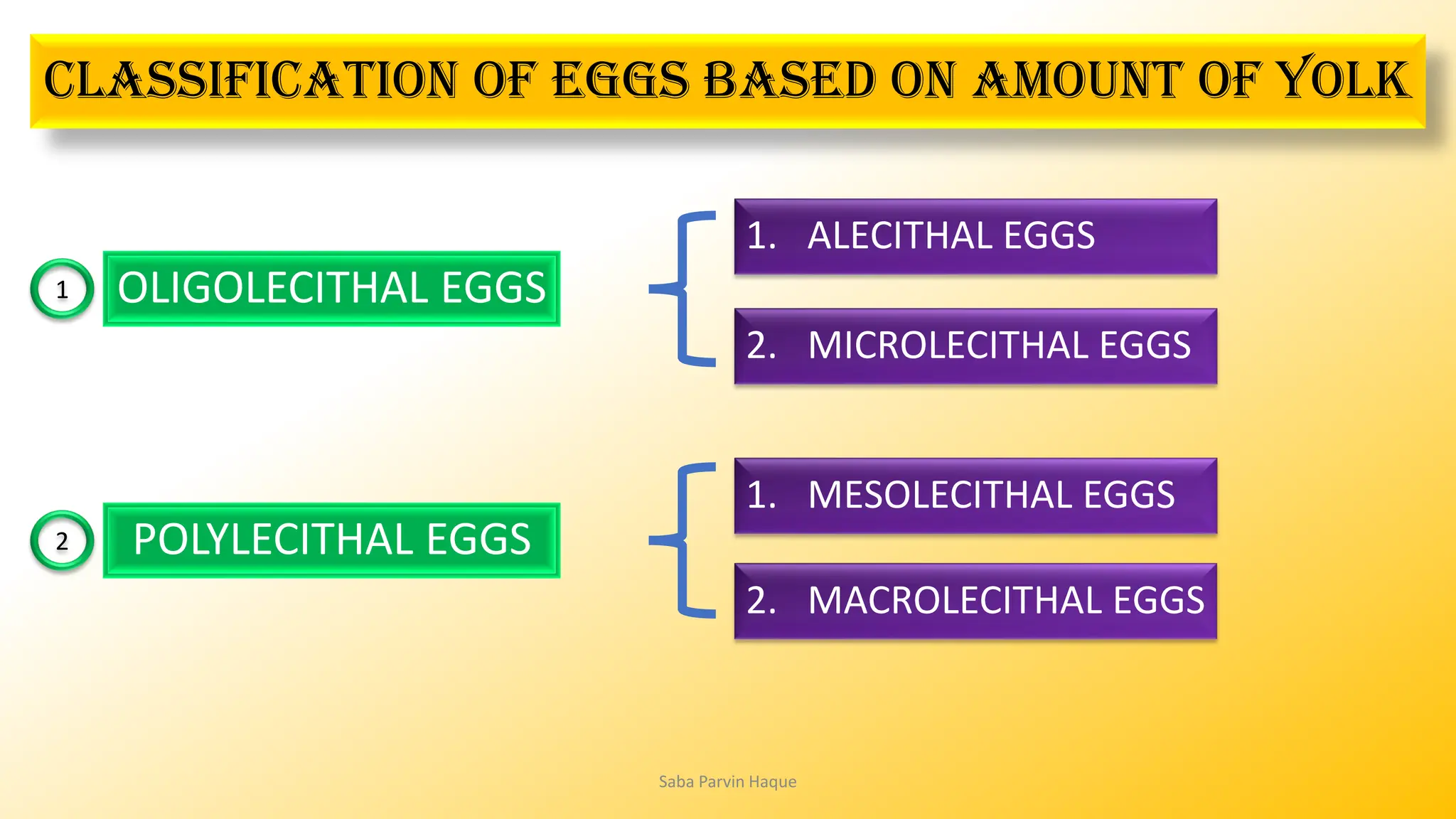 Types of Egg – Based on amount and distribution of yolk | PDF