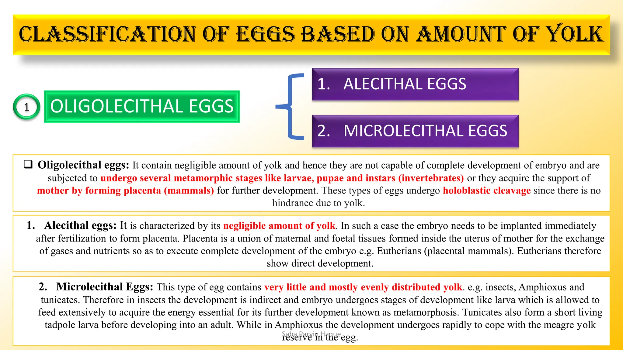 Types of Egg – Based on amount and distribution of yolk | PDF