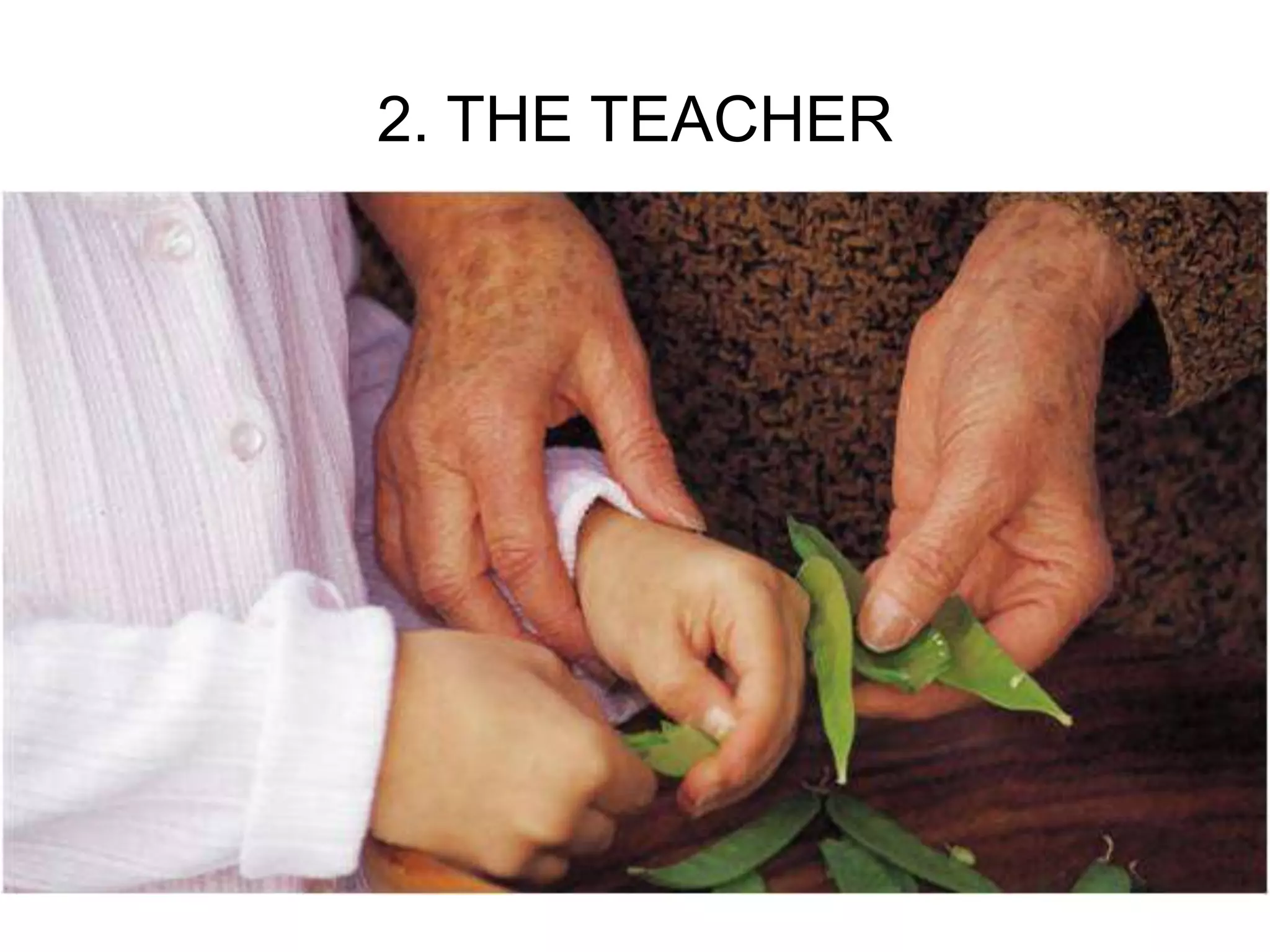 5 types of presenters | PPTX