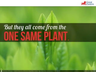 5 Types Of Tea | PPTX