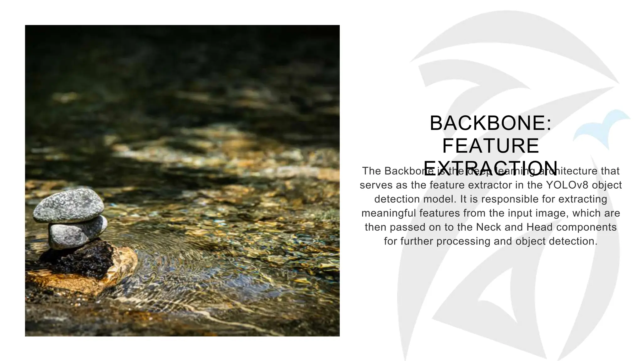 [5] Understanding the YOLOv8 Architecture.pptx