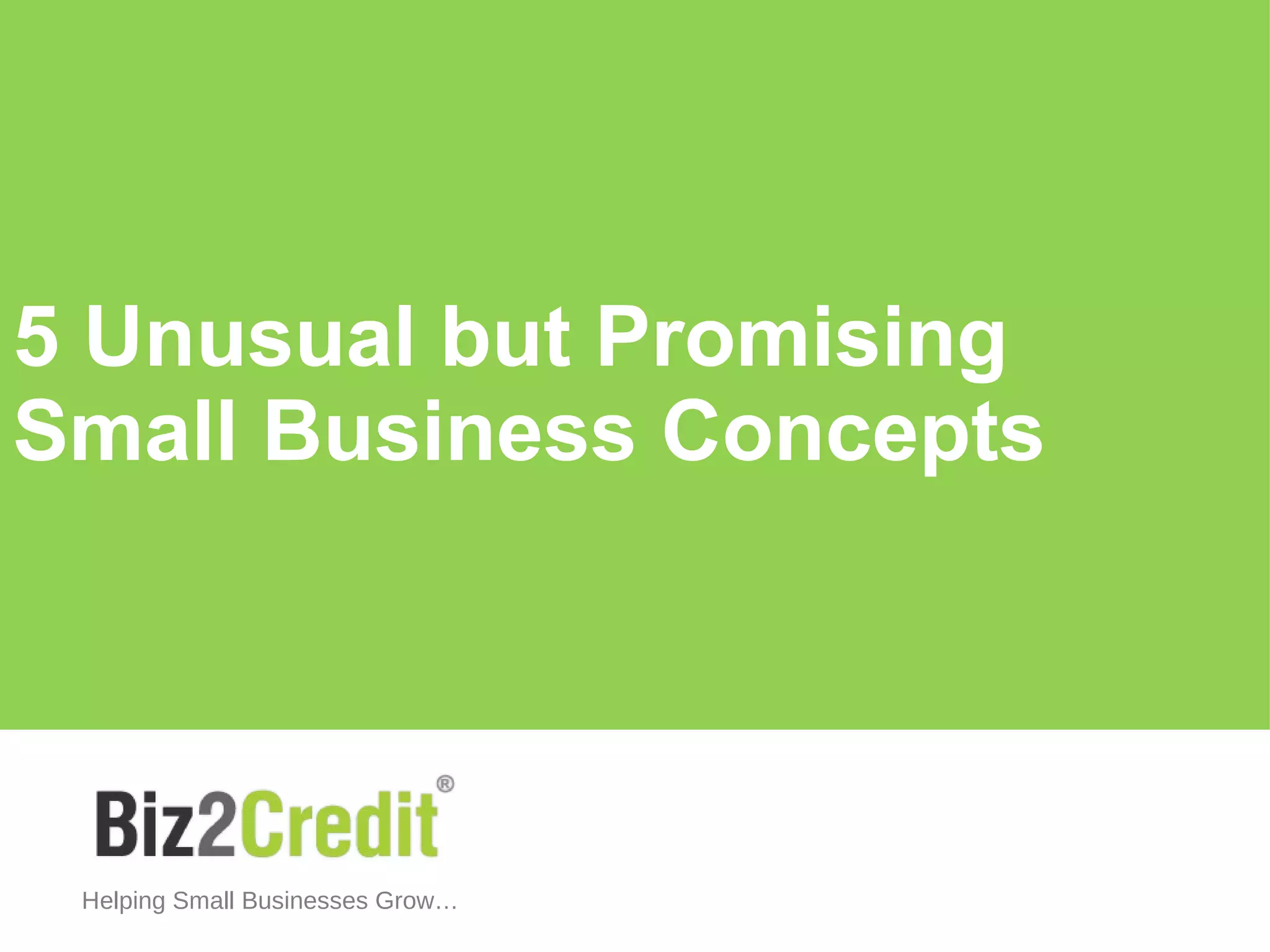 5 Unusual but Promising Small Business Concepts | PPT
