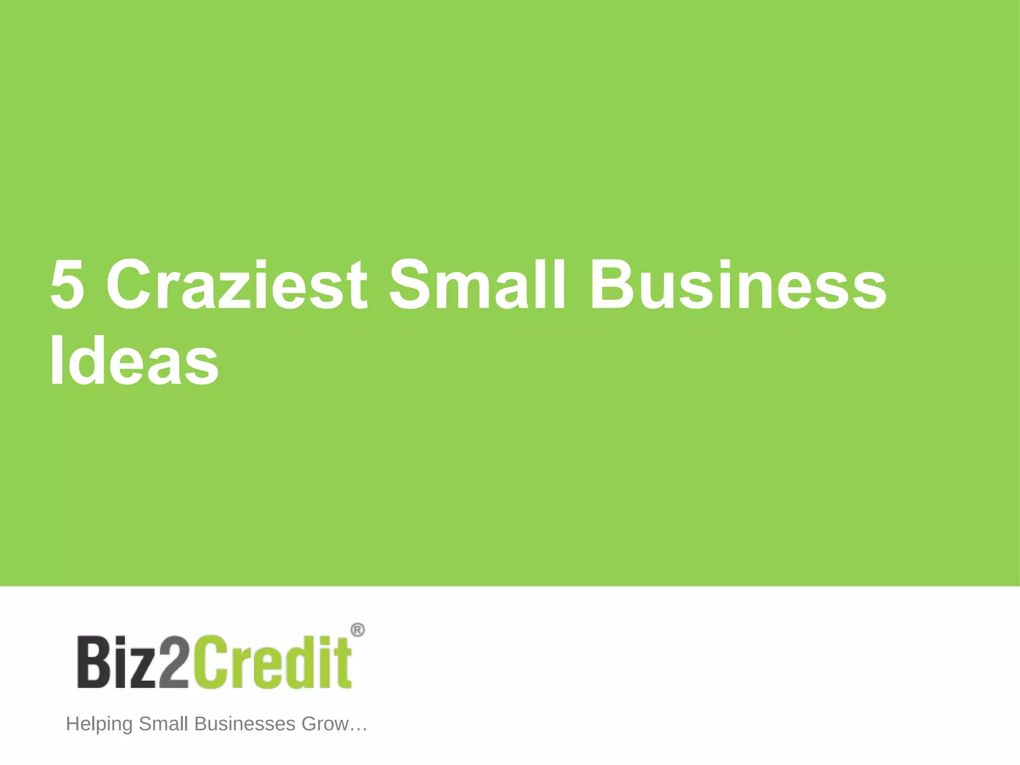 5 Unusual but Promising Small Business Concepts | PPT