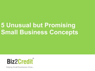 5 Unusual but Promising Small Business Concepts | PPT