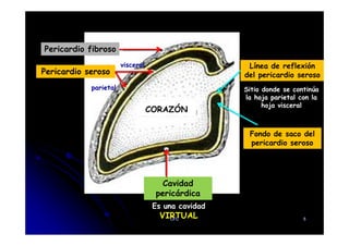 9CFC_-_PERICARDIO.pdf
