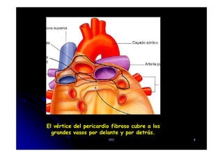 9CFC_-_PERICARDIO.pdf
