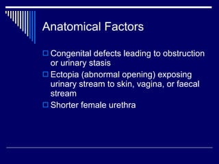 Urinary Tract Infection | PPT