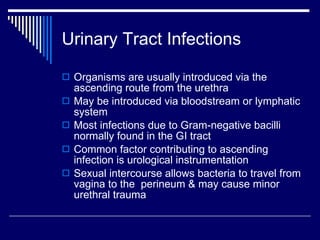 Urinary Tract Infection | PPT